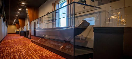 AXS Showcase System | Gaylord Archival